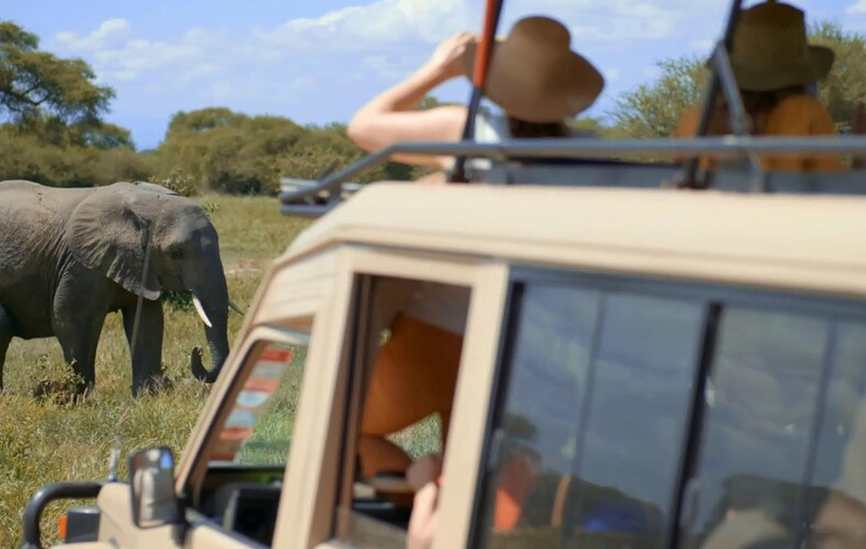 8 Days Tanzania Diamond-Luxury - Flying Safari! - Serengeti Big Sky Safaris